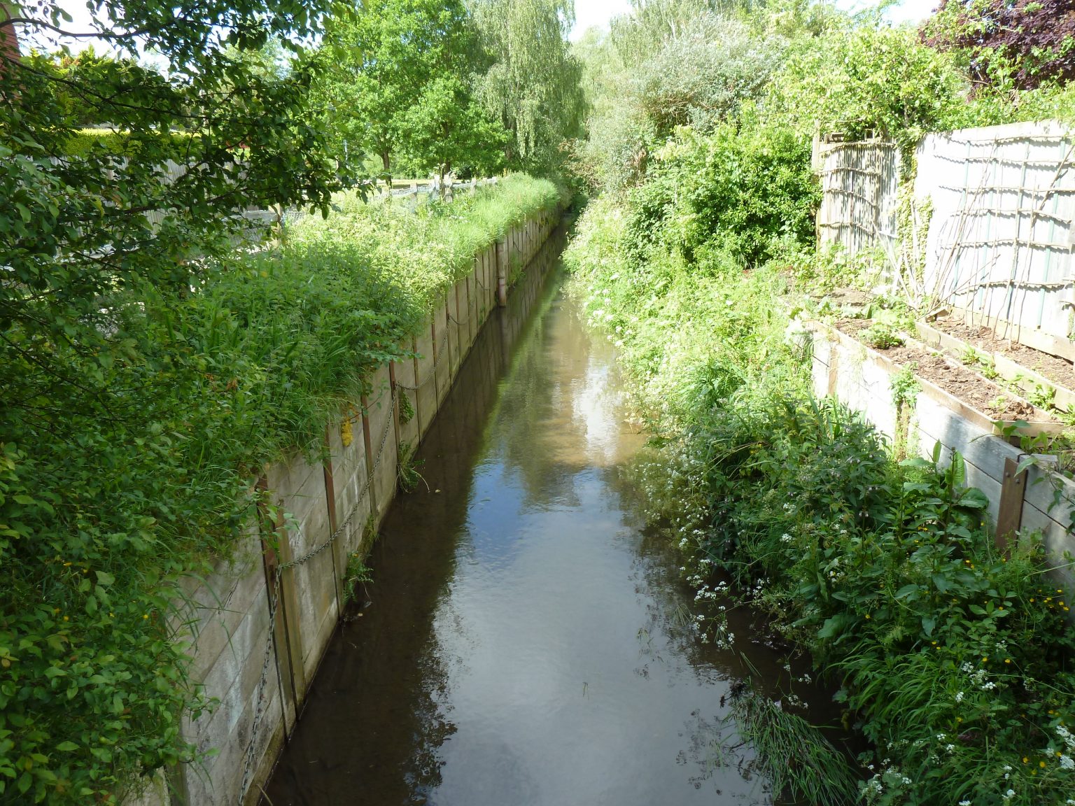 Walkover Surveys - Adur and Ouse Partnership
